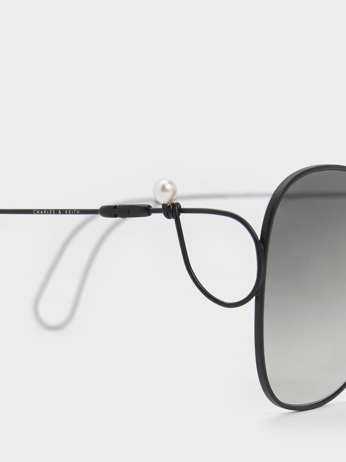 Womens Sunglasses Exclusives Styles Charles And Keith International