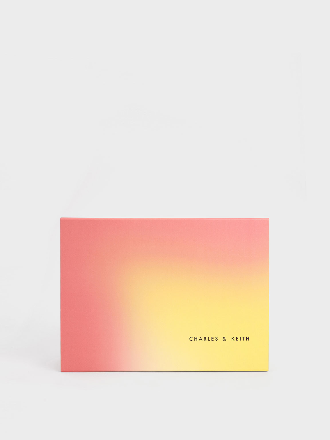 Multicoloured Charles & Keith Ombre Gift Box - CHARLES & KEITH BR